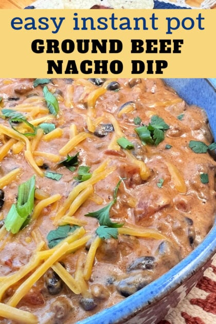 Instant Pot Ground Meat Nacho Dip - ChefAlli.com